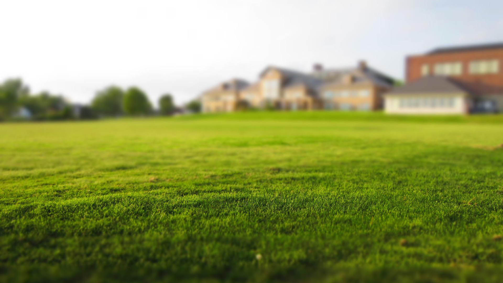 American Maintenance Solutions